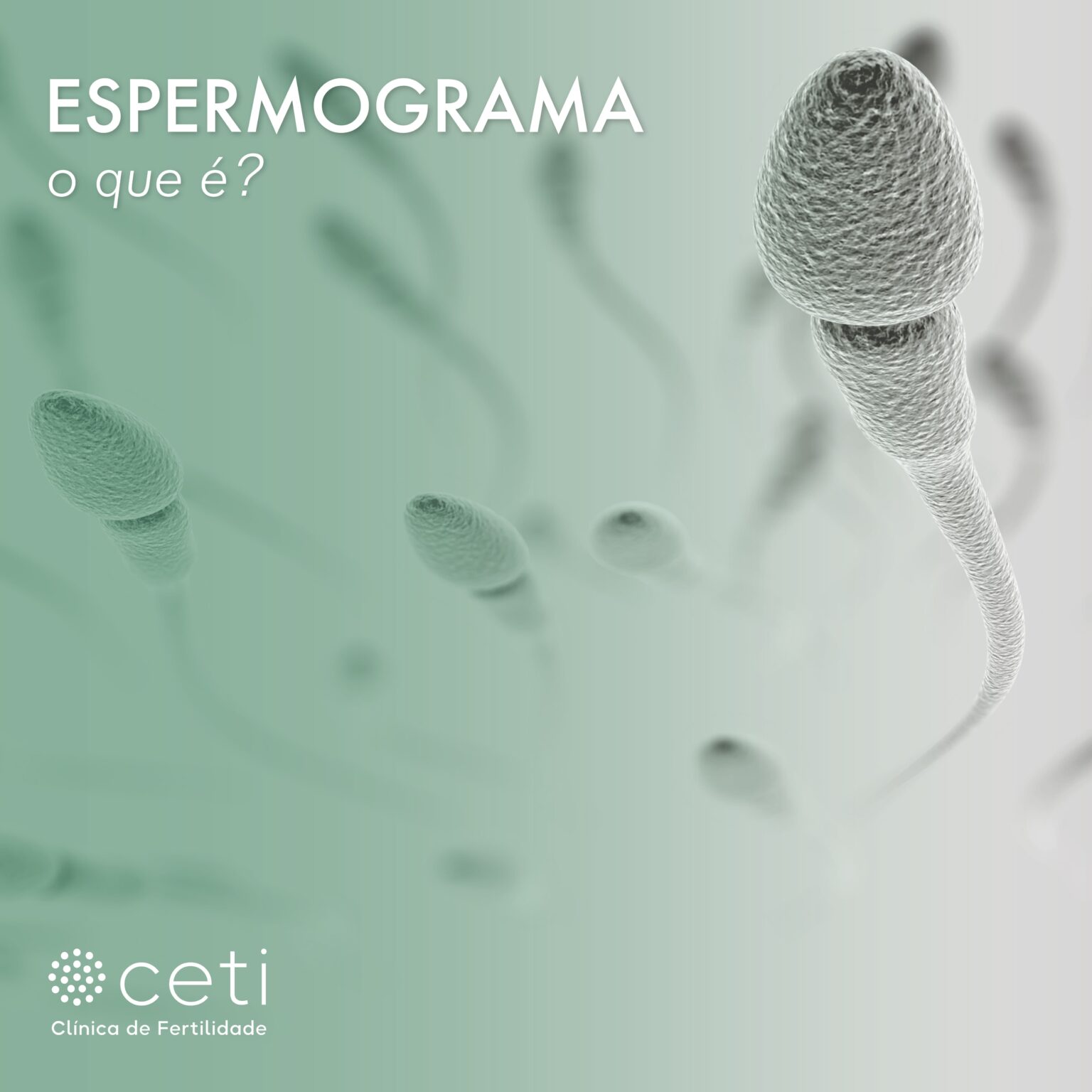 Espermograma - O que é? - CETI - Clínica de Fertilidade | Porto